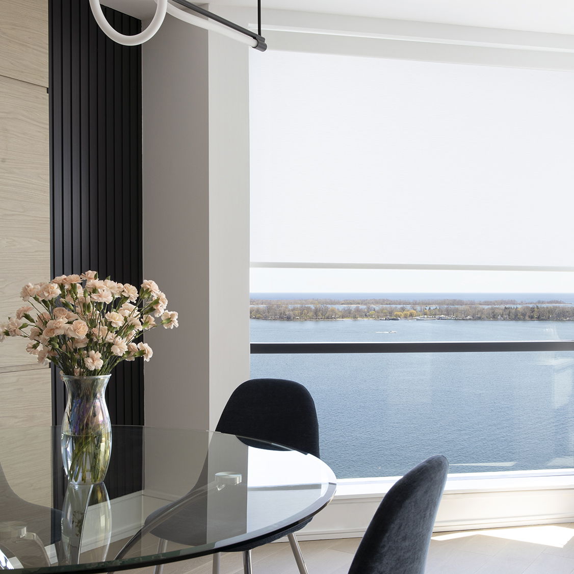 Roll up solar shades for windows store